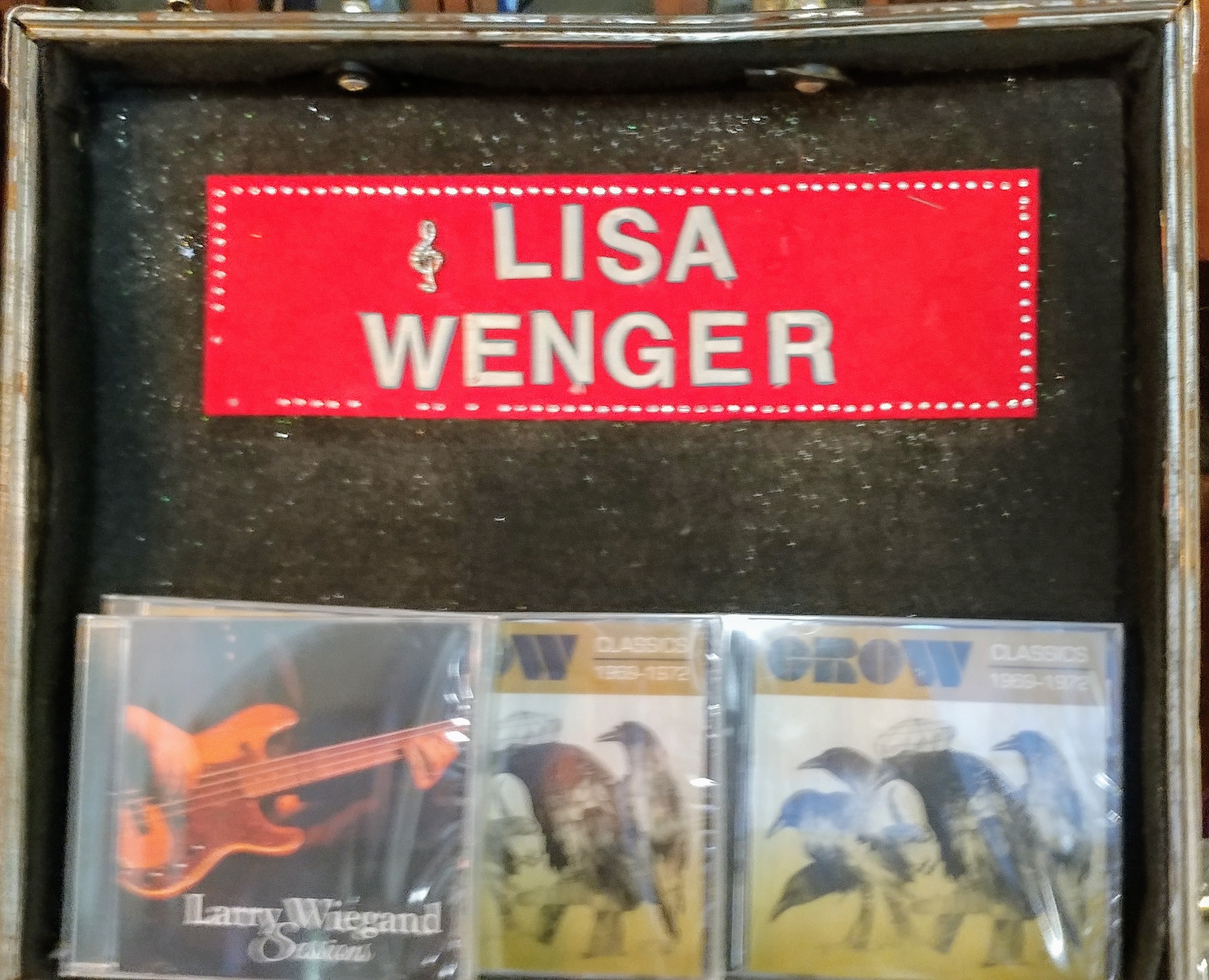 Snapshot: Lisa Wenger Band Concert – Music Experience With Mitzi Beliveau